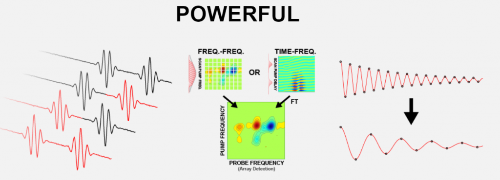 PhaseTech 超快二维可见光光谱仪2DQuick Visible